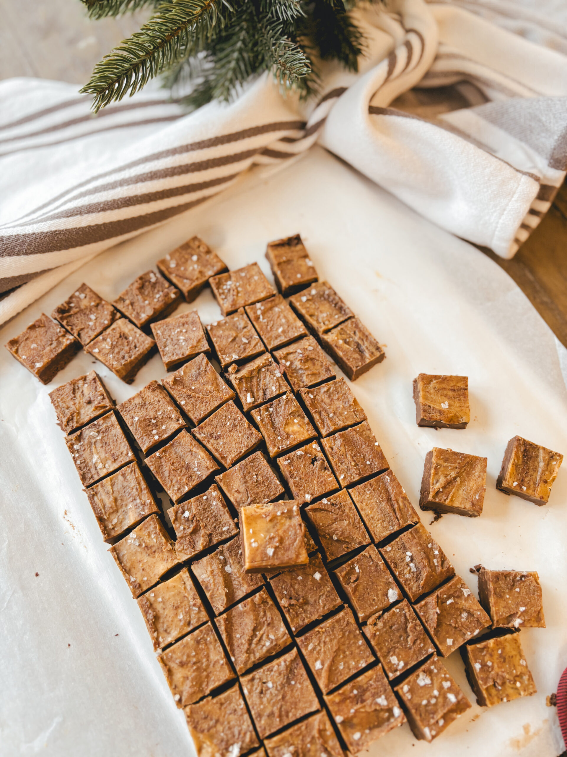 Salted Peanut Butter Chocolate Fudge – Just Jessie B